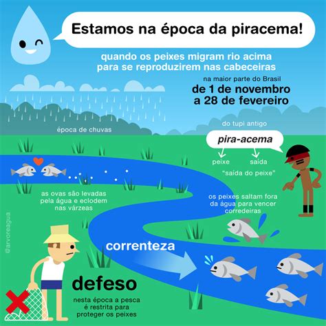 Qual A Import Ncia Da Piracema Na Reprodu O Dos Peixes Revoeduca