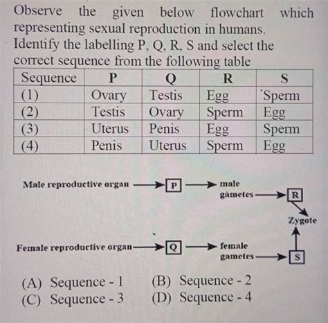 Observe The Given Below Flowchart Which Representing Sexual Reproduction