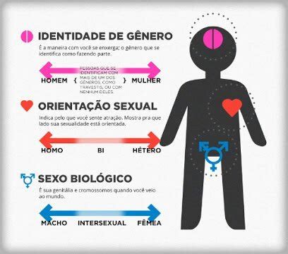 Orientação Sexual e Identidade de Gênero LGBT Unicórnio Amino