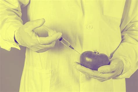 Chemical Hazards In Food How To Identify Control