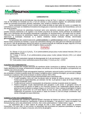 bioquimica de macromoleculas Resumo Bioquímica de Macromoléculas