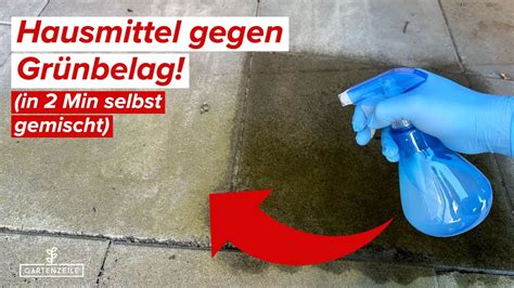 Grünbelag mit Hausmittel entfernen EINFACH und GÜNSTIG YouTube