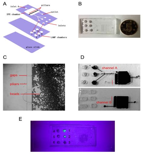bioengineering free full text microbiological sensing technologies a review