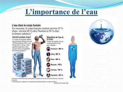 Ppt Limportance De Leau Le Corps Humain La Chimie De Base De Leau The