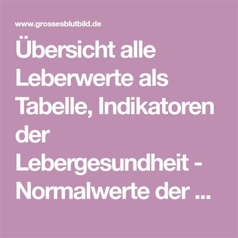 Bersicht Alle Leberwerte Als Tabelle Indikatoren Der Lebergesundheit