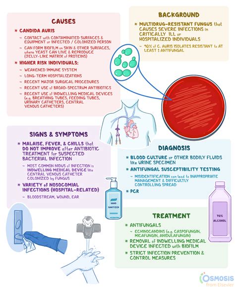 Candida Auris Infection What Is It Causes Signs And More