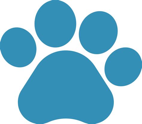 Colapsul La Caini Si Pisici Cauze Diagnostic Tratament Veterinar