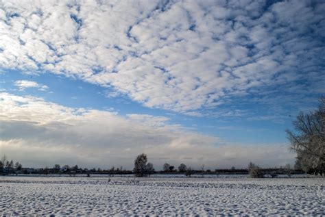Gratis billeder landskab træ natur horisont sne vinter Sky