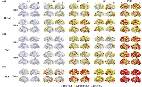 region based test retest reliability for the five entropy methods download scientific diagram