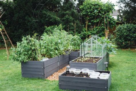 Your Guide To Raised Garden Beds Wellers Hill Hardware Landscaping