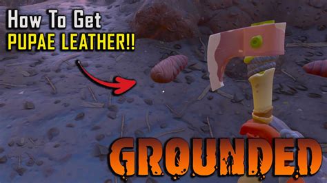 Grounded How To Get Pupae Leather Youtube