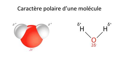 Cohésion des solides 2 3 polarité d une molécule YouTube