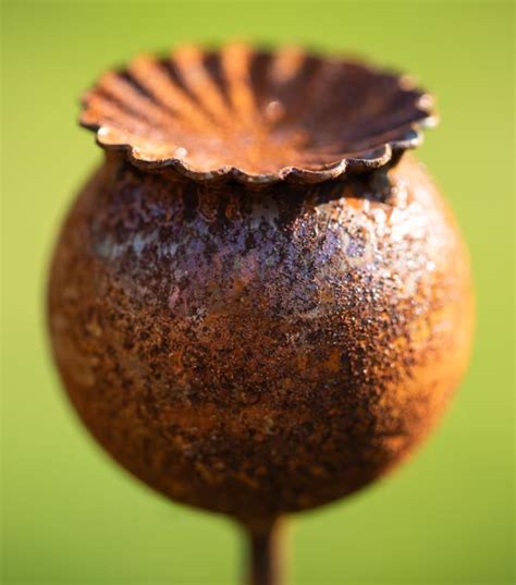 3er Set Mohn Edelrost Rost Deko rostige Gartendeko Blüten Rovlier