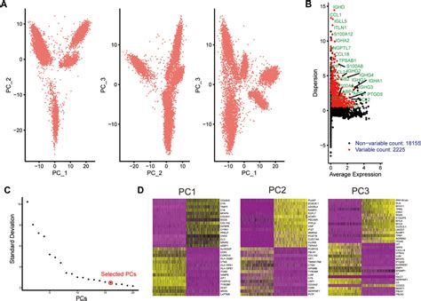 Frontiers Single Cell RNA Seq Uncovers Distinct Pathways And Genes In