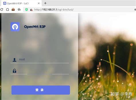 新版OpenWrt如何使用LAN口开第二个WAN口 知乎