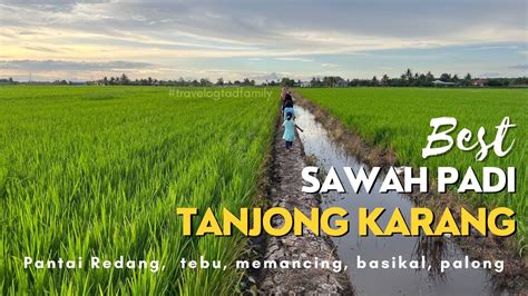 Rupanya Ada Sawah Padi Yang Cantik Di Tanjong Karang Tempat Menarik