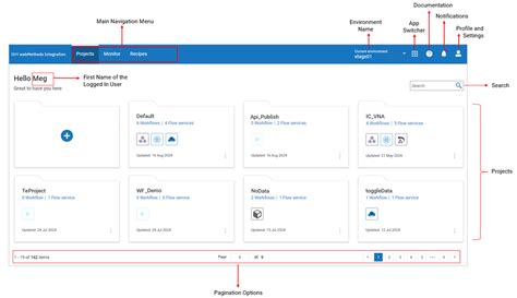 Understanding The GUI WebMethods Io Integration