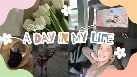 Spend The Day With Me Whats New In B M Huge Pr Haul More Youtube