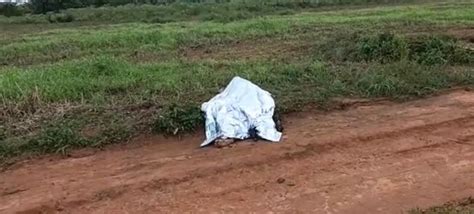 TRAGÉDIA Filho mata o próprio Pai a facadas e deixa irmão ferido