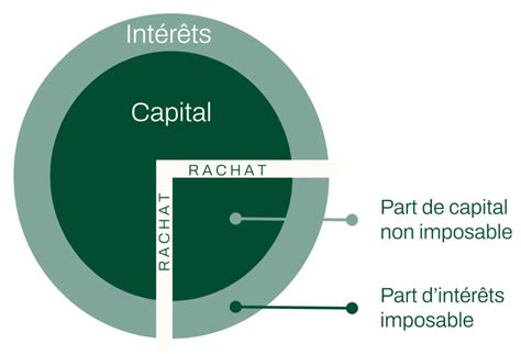 Option Fiscale Rachat Assurance Vie Explication Et Exemple