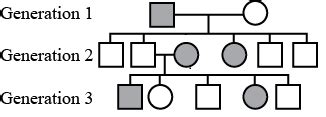 Study The Given Pedigree Chart And Answer The Questions That Follow A