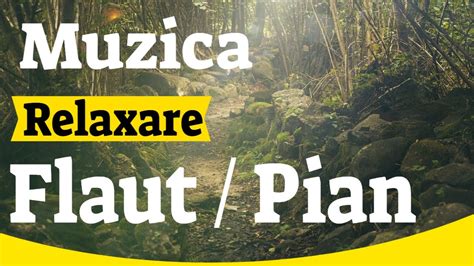 Muzica De Relaxare Pian Si Flaut Muzica Calmarea Stresului Pian Si