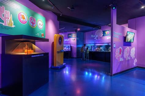 Ciudad de México Ticket de entrada al Acuario Inbursa con opción de RV