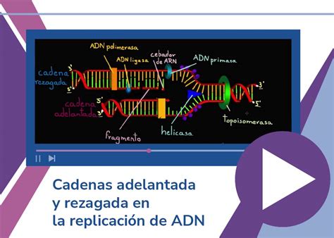 Replicación genética molecular Alianza B UNAM CCH ENP ante la