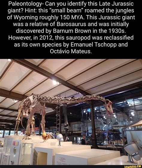 Paleontology Can You Identify This Late Jurassic Giant Hint This