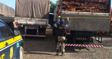 G1 PRF Apreende Cargas De Madeira Ilegal Na BR 010 No Sudeste Do PA