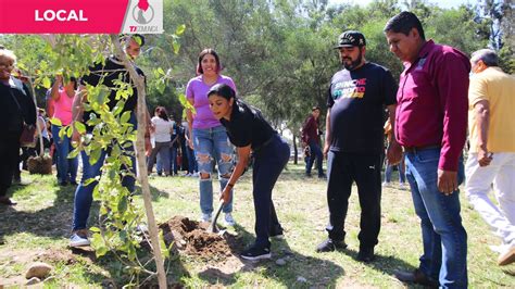 Cumple Alcaldesa compromiso y siembra más de 50 mil árboles en tiempo