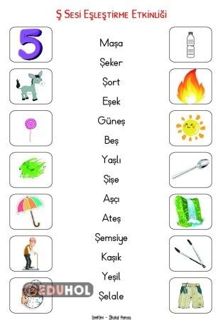 Ş Sesi Görsel Kelime Eşleştirm Eduhol Etkinlik İndir Oyun Oyna