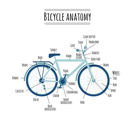 Parts Of A Bicycle Illustrated Guide