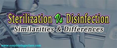 Compare Disinfection Vs Sterilization Easybiologyclass