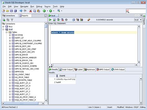 How To Insert Arabic Data In Oracle