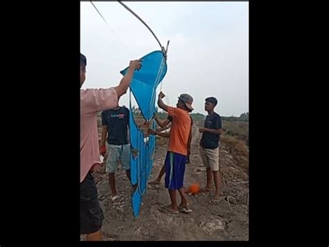 TERBANGKAN Layangan Ram Raman Super Besar YouTube