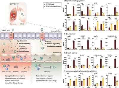 Frontiers Corrigendum Antiviral And Immunomodulatory Effects Of