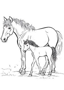 Einhorn Ausmalbild Pferde Ausmalbild
