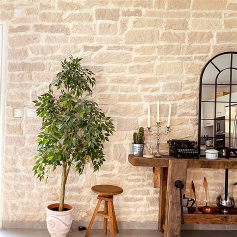Parement Mural En Pierre Int Rieur Ext Rieur Tours Vendu Au M