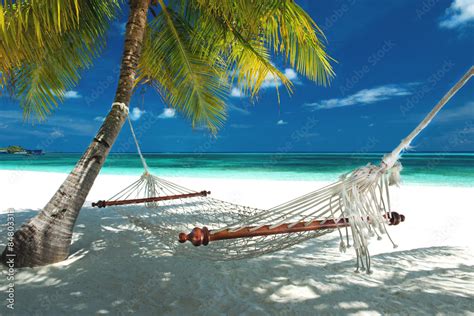 Hängematte am Strand auf den Malediven Stock Foto Adobe Stock