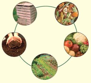 Guía práctica para el diseño y la explotación de plantas de compostaje