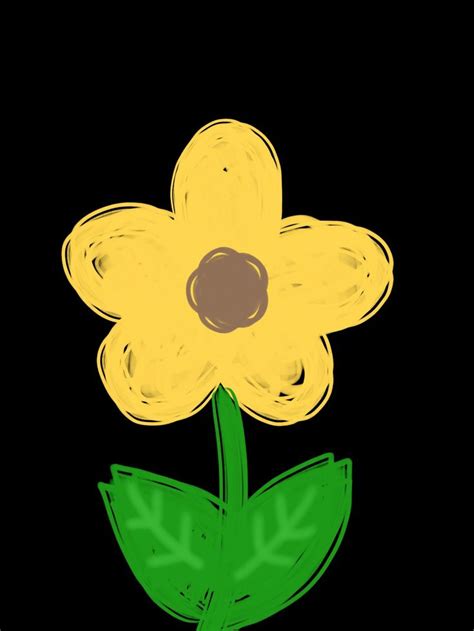 Sunflower Flower Drawing Drawings Wallpaper