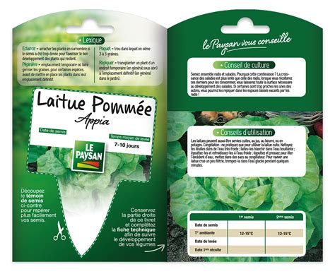 LAITUE POMMÉE APPIA Le Paysan Semences et accessoires pour