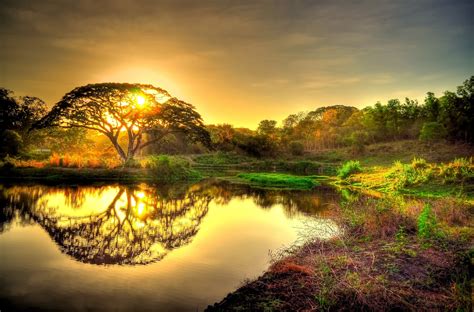 Wallpaper Sunlight Trees Landscape Forest Sunset Lake Water