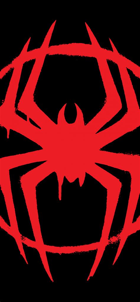 Spider Man Across The Spider Verse Wallpaper 4K Logo 5K 8K AMOLED