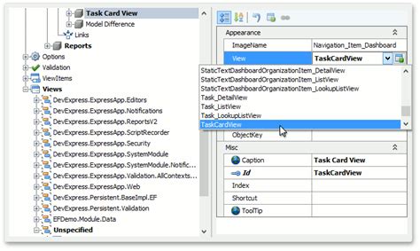 how to show a custom data bound control in an xaf view winforms expressapp framework