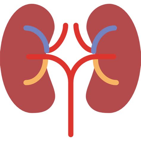 Riñón Iconos gratis de médico