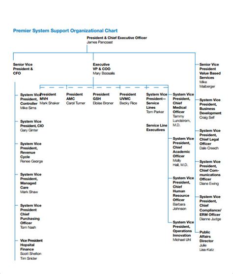 Sample Hospital Organizational Chart 10 Documents In PDF