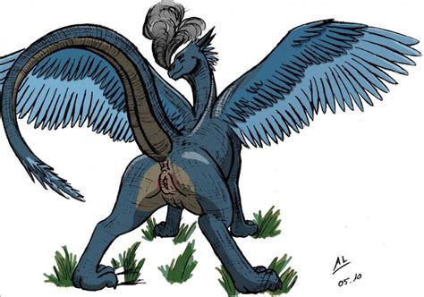 Rule 34 Blue Dragon Eragon Feathers Female Feral Horns Presenting Pussy Safira Scalie Smoke