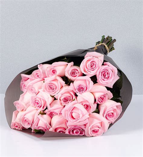 Top 195 Imágenes de rosas rosadas hermosas Destinomexico mx